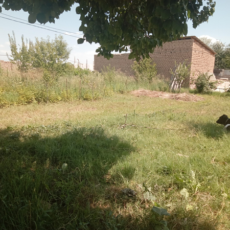 Turar joy va noturar joy  meva darahtla bor gaz svet bor. Hammasi bor