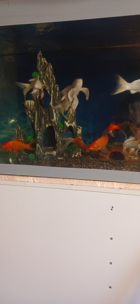400 litrlik Akvarium Padstavkasi bilan komp