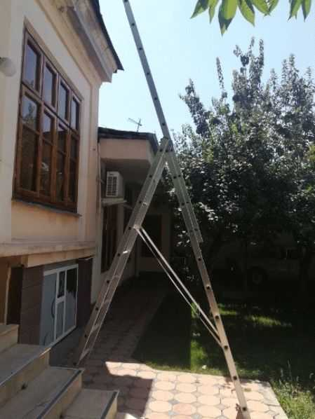 Аренда нарвон малика