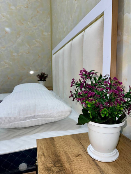Yengi EvroLyuks Hotel Assa Yakkasaroy Ayraport Faqat Pasport Bez Zaks
