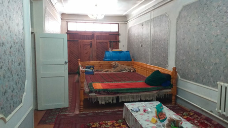 Жай сатылады А палуанов кошеде