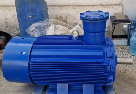 Электродвигатель eltromotor 250kW-750ob/min