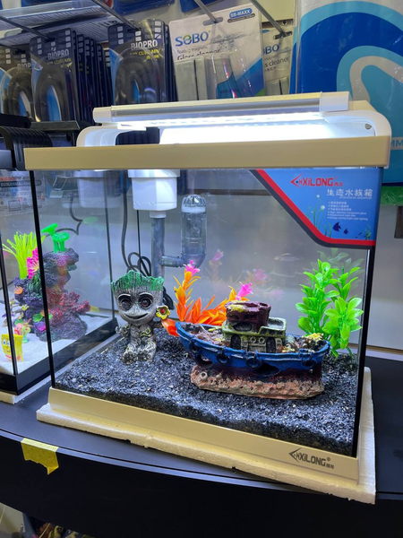 Akvarium va baliq dokoni