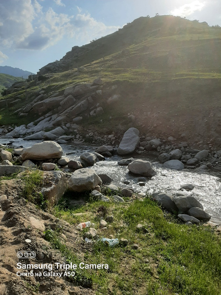 Дача Самарканд Миранкуль