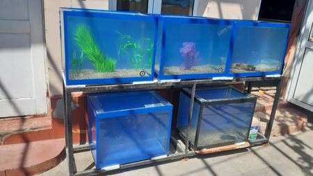 Akvariumla sotiladi