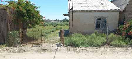 Дача сотилади маданиятда