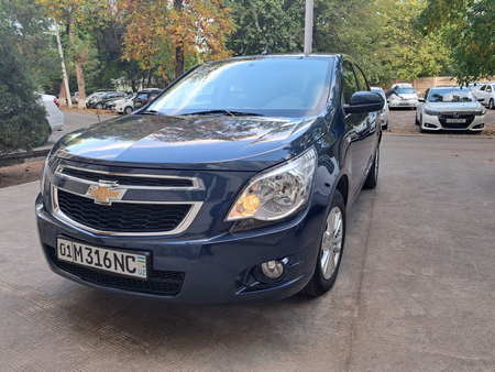 Cobalt 2024 4-pozitsiya