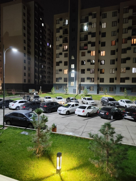 Arenda. Olmazor city. Sohil boyi
