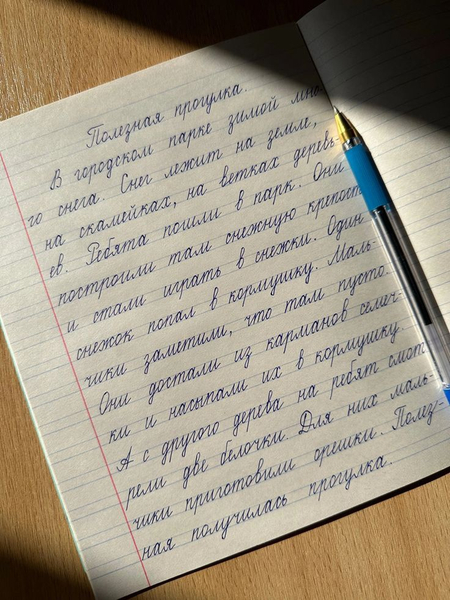 пишу конспекты и другое