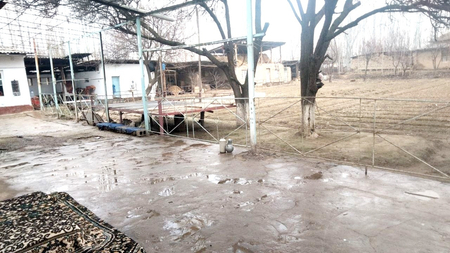 Уй сотилади! Тошкент вилояти Чиноз тумани Чинмасжид МФЙ Тинчлик кучаси