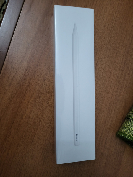 Apple Pencil Pro for iPad Pro M4