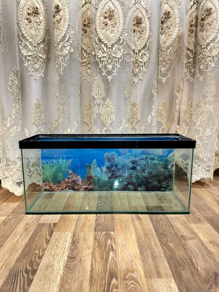 Akvarium sotiladi