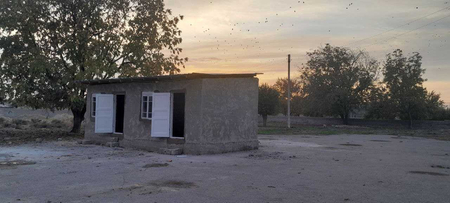 Uchatska sotiladi 20 sotix