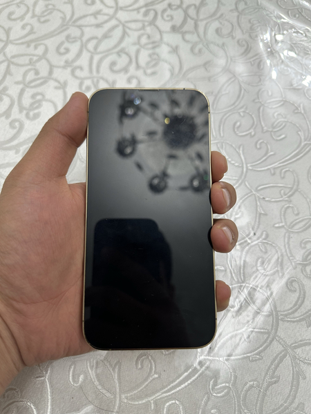 Iphone 13 pro ideal