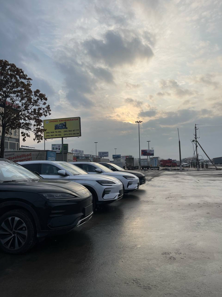 Byd song champion 605