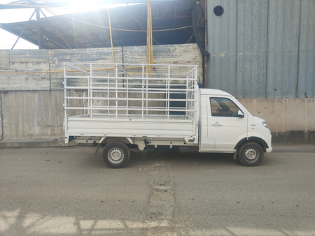 Shineray T30 propan gazli