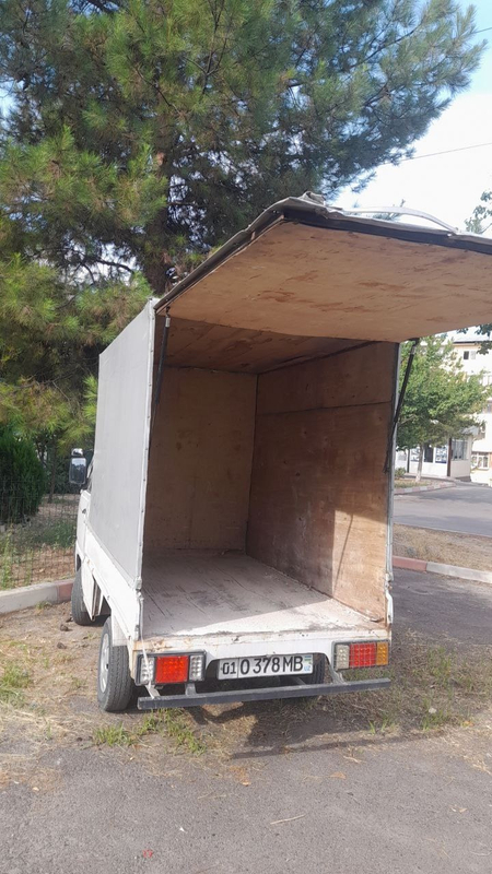 Tez varzon damas labo