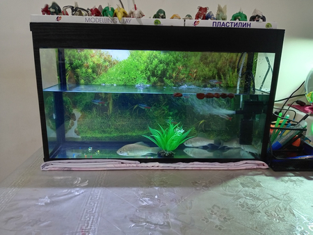 Продаются аквариум 35 л