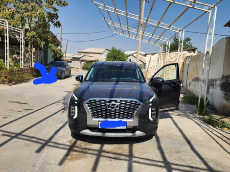 Palisade 2022 toza