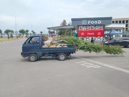 Грузоперевозки по Узбекистан и по городу Ташкент
