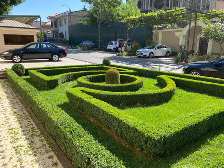 Archa kesish va davolash xizmati