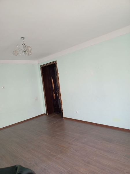 Shaxrisabzdan kotej srocni sotiladi