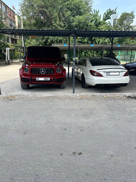 CLS Banan srochna