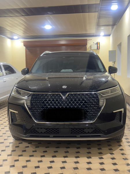 Nissan Venucia star