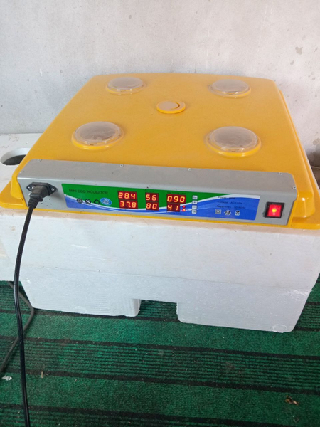 Inkubator jo\\\'ja chiqarish
