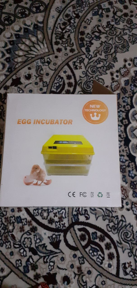 Incubator tuxum juja ochirish uchun