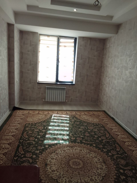 Arendaga kvartira srochna IBN sinoda