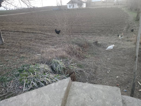 Продаёт частный дом