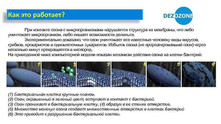 для химчисток дома обеззараживания одежды обуви постельных предметов
