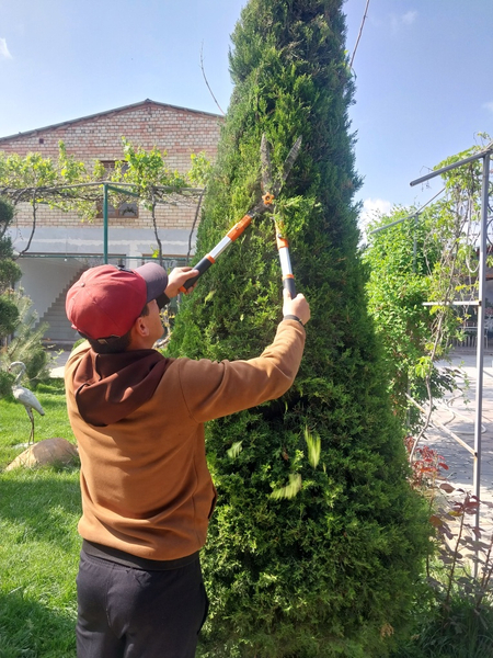 Archa kesamiz  forma beramiz
