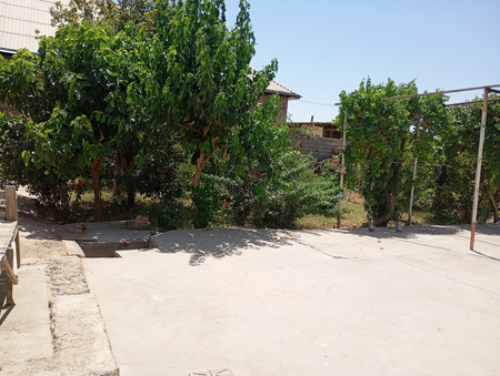 Angor tumani sharq guli mahallasida