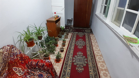 Ko'chmas mulk. Hovli