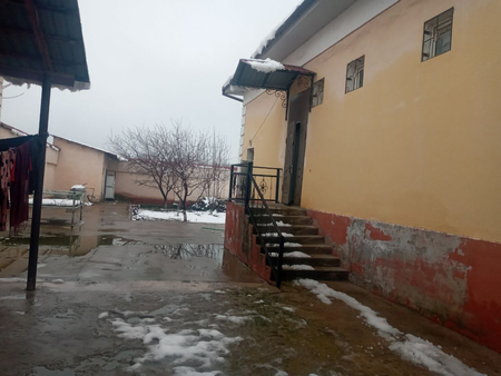 6 sotikli Kotej sotiladi