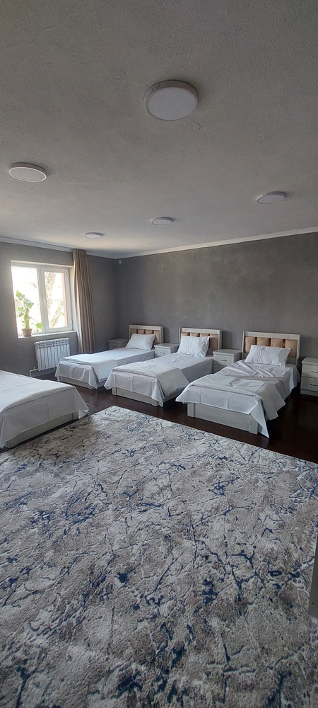 Hotel,hostel,kunlik mehmonxona