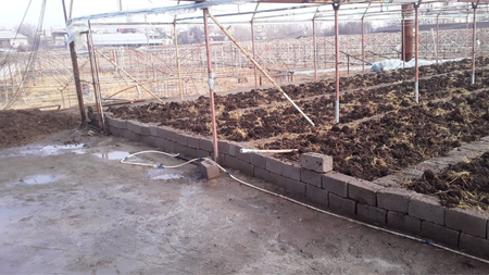 Ferma, Dalla, Dacha 70 sotih