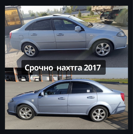 Jentra (голубой дельфин)