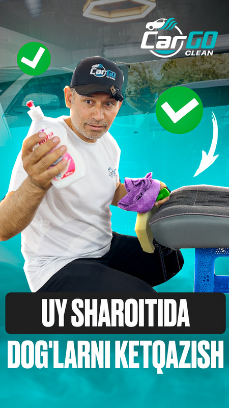 Avto ximchistka Professional