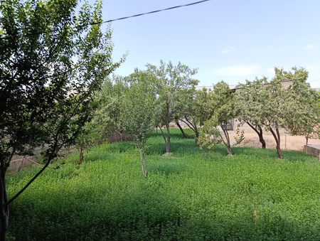 Hovli uy sotiladi