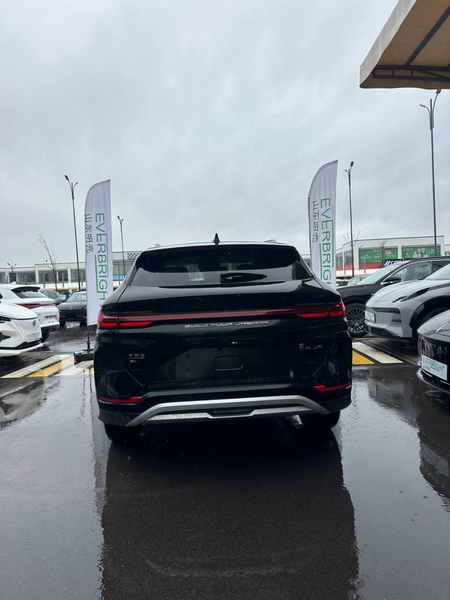 Byd chempion nalicha toshkent