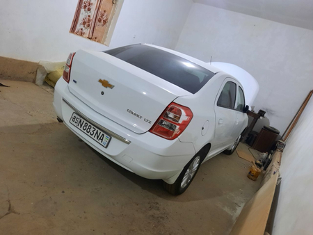 Cobalt 2024 pachka propani bor
