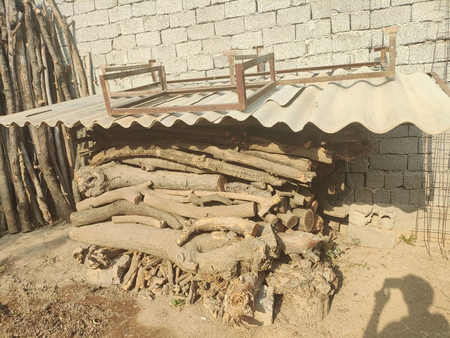 O\\\'tin, quruq xolatda, maydalangan