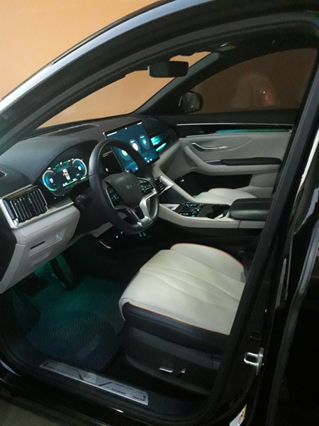 BYD song plus champion 605 тали