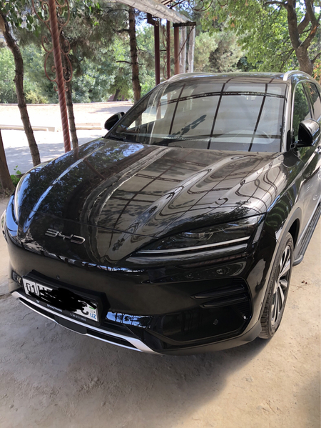 BYD ченпион хола ало 605