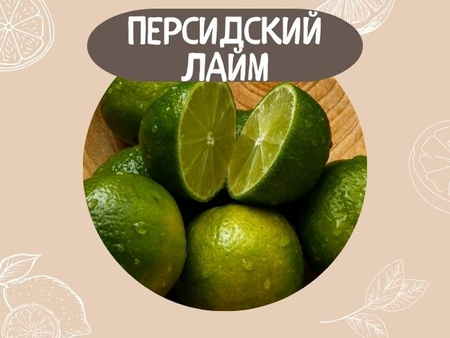 Лайм кучатлари оптом