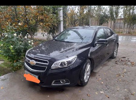 Malibu1 kraska tozza