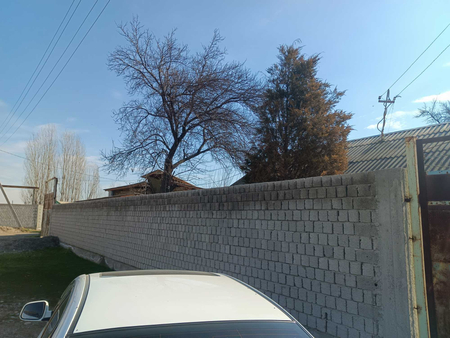 Noturar ferma 30 sotix yangiyul tumani Mihayolvkada 200 ta mol ketadi